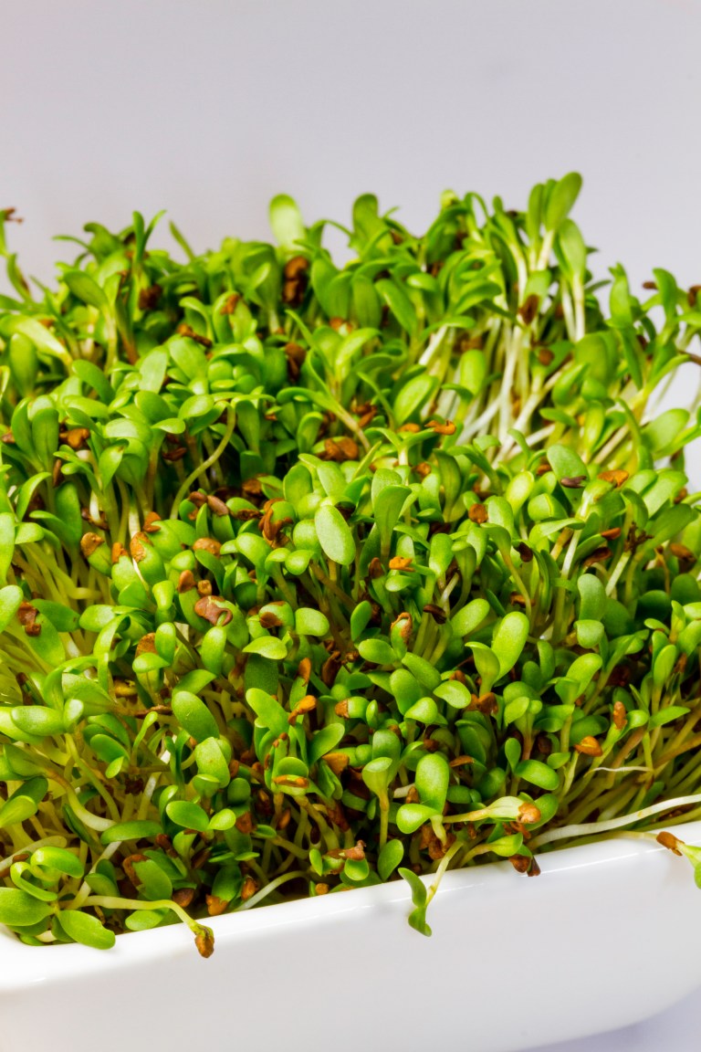 Semintele incoltite si crescute sub forma de vlastari (sprouts) – Ligia Pop