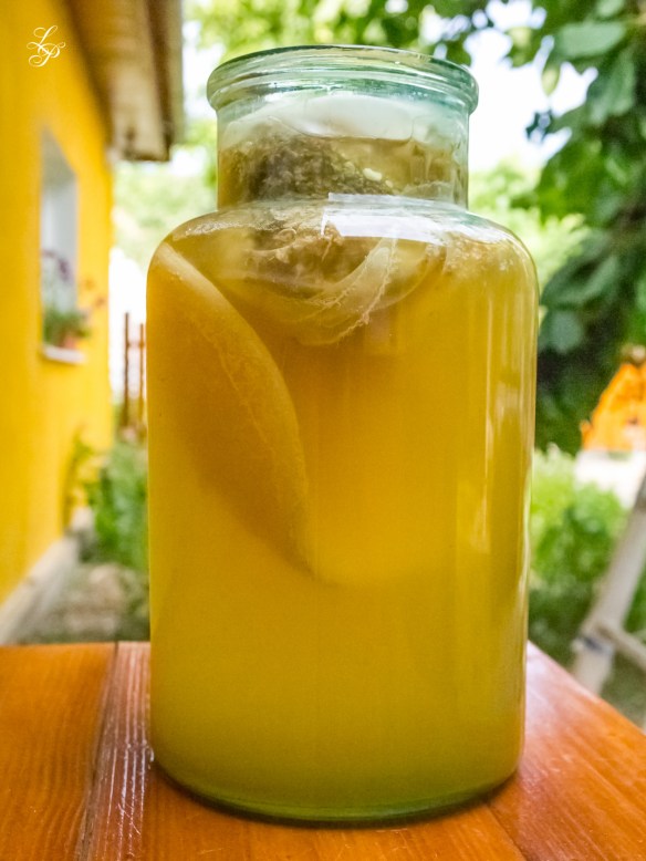 Socata cu Kombucha – Ligia Pop