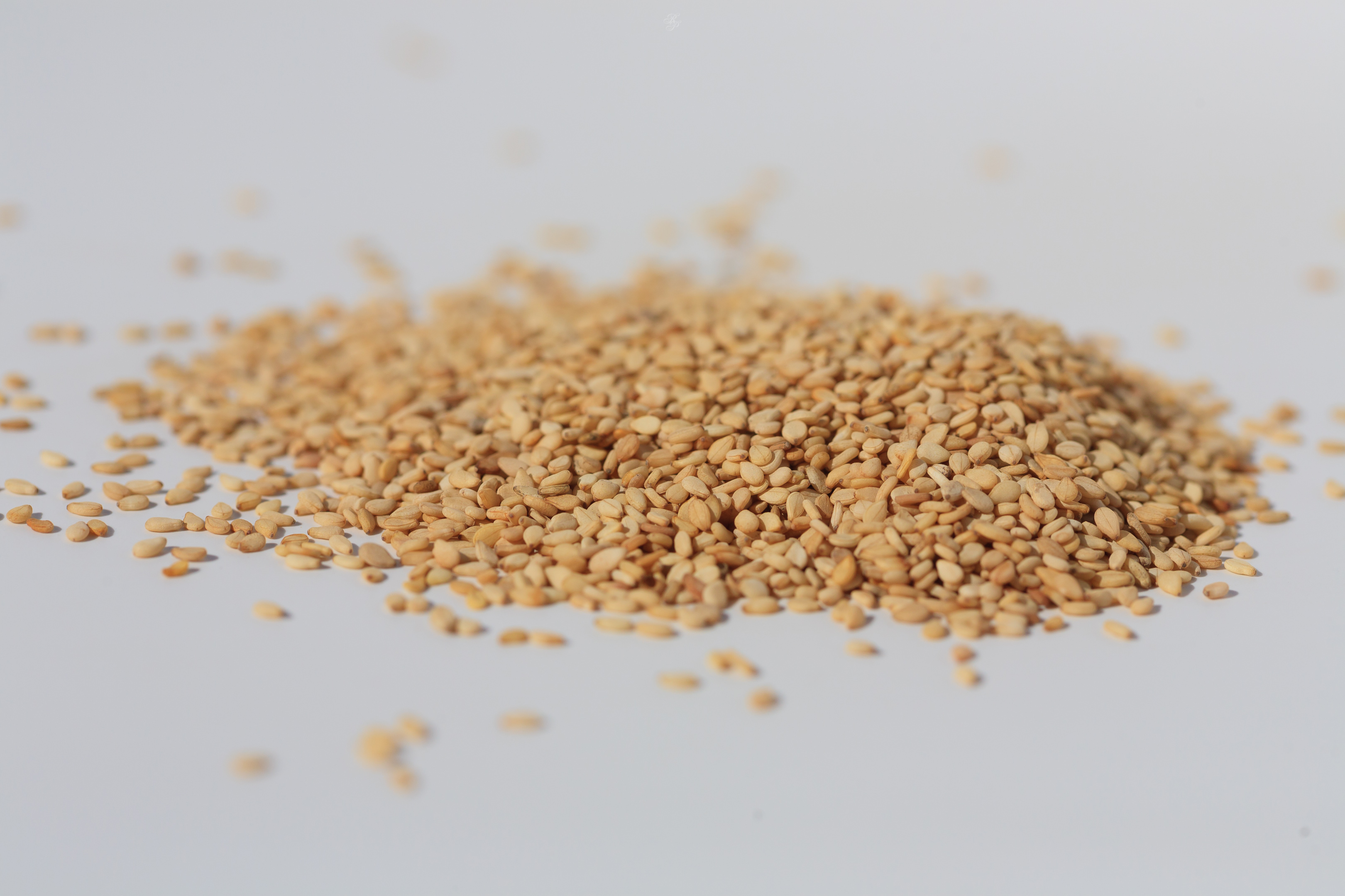 Cele mai importante minerale de provenienta vegetala – Ligia Pop