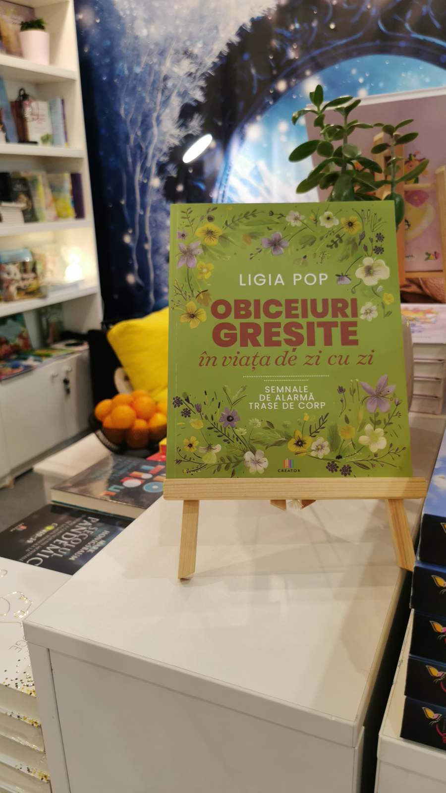 Cadouri Craciun 2024🎄 – Ligia Pop